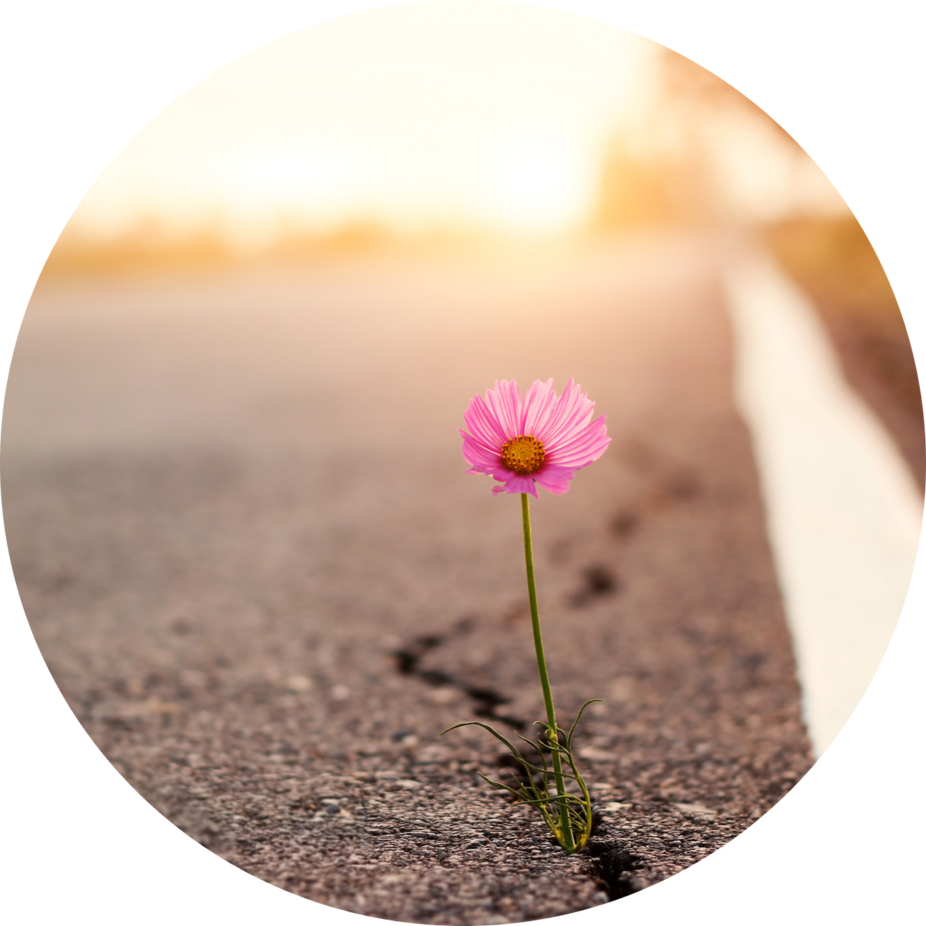 Staying Strategic When the Ground Shifts: Navigating the HHS Reorg